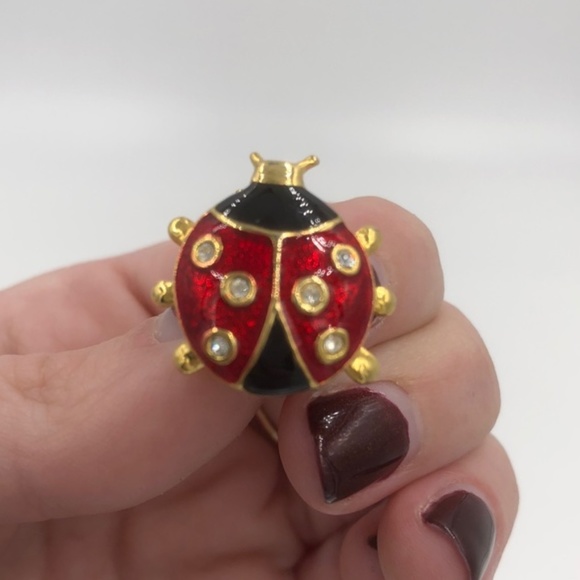 Jewelry | Vintage Black And Red Enamel Ladybug Brooch | Poshmark
